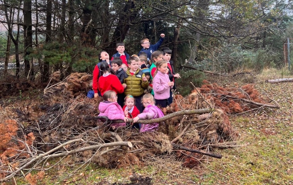 Wild Moves - Dance workshop at Baboró 2025 | Baboró International Arts ...